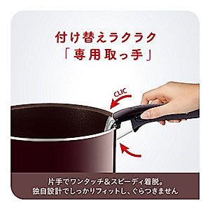 T-FAL frying pan 10-point set detachable handle Ingenio Neo mahogany Premier set with a lid 9 gas fire heater dedicated L63192