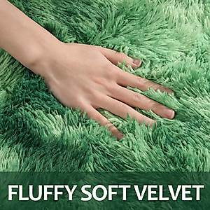 Hutha 4x6 Large Area Rugs for Living Room, Super Soft Fluffy Modern Bedroom Rug, Tie-Dyed Green Indoor Shag Fuzzy Carpets for Girls Kids Nursery Room Home Decor