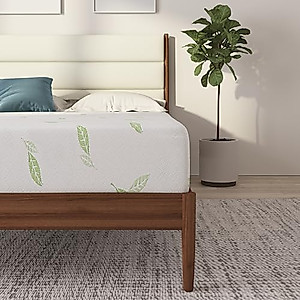 NapQueen King Size Mattress, 6 Inch Anula Green Tea Infused Memory Foam Mattress, King Size Mattress Bed in a Box, CertiPUR-US Certified Mattress