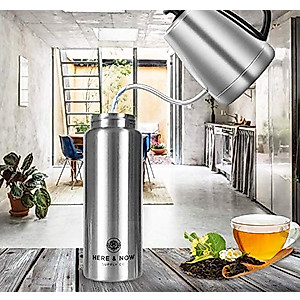 All-Purpose Travel Mug and Tumbler | Tea Infuser Water Bottle | Fruit Infused Flask | Hot & Cold Double Wall Stainless Steel Coffee Thermos | by Here & Now Supply Co. (750 ml (25.3 oz))
