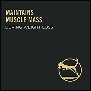 Purina Pro Plan Weight Control Dry Cat Food, Chicken and Rice Formula - 7 lb. Bag