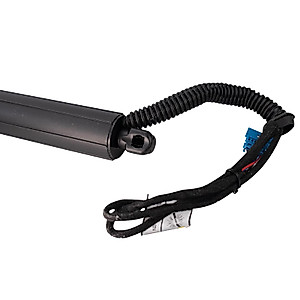 TRQ Right Power Liftgate Actuator Compatible with 2011-2014 BMW X3