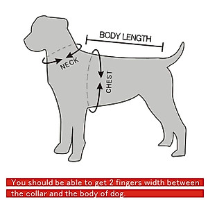 Berry Pet Leather Spikes Studded Medium & Large Black Dog Collar & Leash & Harness 3 Pcs Set for Pitbull Boxer