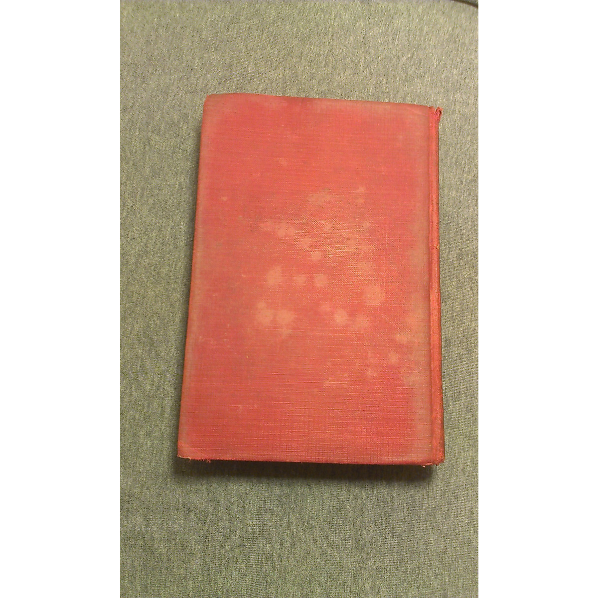 The Girl From Woolworth's