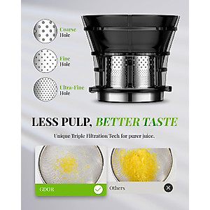 GDOR Cold Press Masticating Juicer Machines, Self Feeding Slow Pure Juicer, 5.3" Extra Feed Chute Fit Whole Vegetable and Fruit, Grey