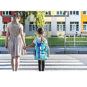 12PCS Pin Me Ribbon Pin Me Cheer Pin Me Bag Tag Pin Me Keychain Clips Bows Cheer Pins Cheer Bow Bag Tag Cheer Clothes Pins Competition Cheer Pins