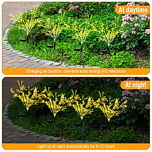 4 Pcs Solar Canola Flowers Lights- 30" Solar Garden Lights Outdoor Decorative Flowers Stake Lights Warm White LED Night Light for Garden Patio Yard Lawn Porch Walkway Spring Landscape Decoration