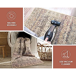 RORA Area Rug 5x7 Machine Washable Rugs for Living Room, Bedroom, Dining Room, Distressed Boho Home Decor Floor Decoration Carpet Mat