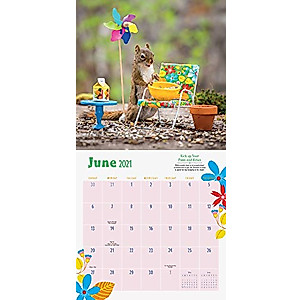 The Secret Life of Squirrels Wall Calendar 2021