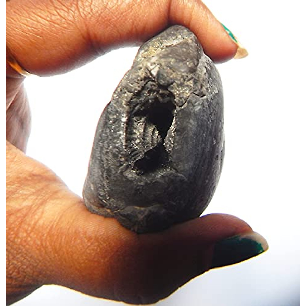 XUETZALCOATL Adwaitya Narsimha Maha Vishnu Shaligram Nepal Kali Gandaki