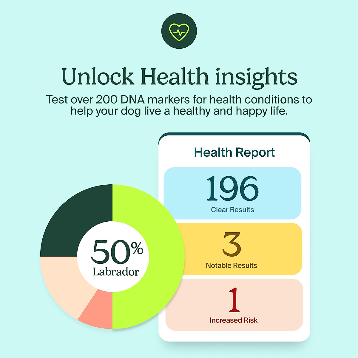 AncestryDNA Know Your Pet DNA: Dog DNA Breed Identification Test, Dog Health Screening, Genetic Traits, DNA Matches, Dog DNA Test, Dog Breed DNA kit, Easy-to-Use Pet DNA Health Test