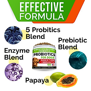 Dog Probiotics Treats for Picky Eaters Bundle + Fish Oil Omega 3 Treats for Dogs - Allergy Relief, Joint Health, Itch Relief. Skin & Coat Supplement + Enzymes + Prebiotics for Digestion Support