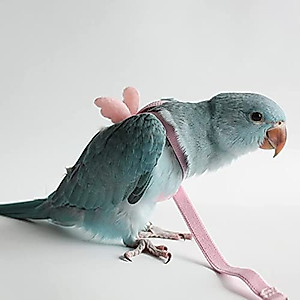 Pet Parrot Bird Harness Leash Adjustable Bird Flying Harness Traction Rope with Cute for Parrots Budgerigar Lovebird Cockatiel Mynah Outdoor Training Toy (Quaker/Sun Conure,Pink)