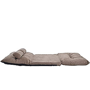 LTT Folding Futon Sofa,Sofa Bed, Dual-Purpose Multi-Functional Adjustable Video Gaming Sofa Lounge Sofa with Two Pillows