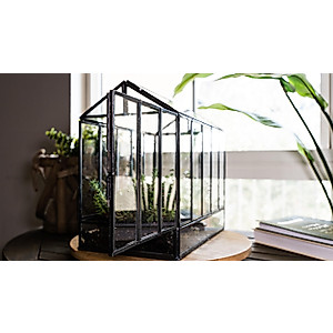 Urban Born Large Indoor Greenhouse Shape Terrarium — 10" x 6" x 10" (Black)
