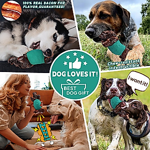 DBF Dog Chew Toys for Aggressive Chewers - Wild Boar Indestructible Dog Squeak Toy with Bacon Flavor, Durable Heavy Duty Dog Toys, Tough Nylon Dog Bones Toys for for Large Medium Breed(Cyan)