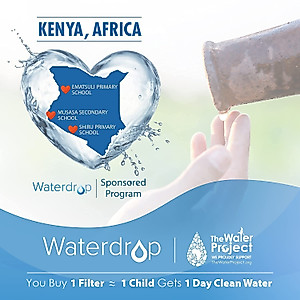 Waterdrop AP431 Cartridge, Replacement for Aqua-Pure AP431 Hot Water Scale Inhibitor for AP430SS, Pack of 4