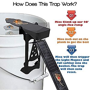 RinneTraps - 2 Pack Walk The Plank Mouse Trap | Bucket Mouse Trap | Mini Flip N Slide | 2 Free Ramps Included- Multi Catch, Auto Resetting | Humane | Catch and Release | Or Lethal