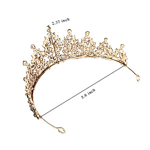 CAVETEE Black Crown for Women Halloween Party Favors Birthday Tiara Luxurious Red Rhinestones Crown Wedding Bridal Crown Birthday Party Princess Party Prom Black Tiaras and Crowns for Women Girls