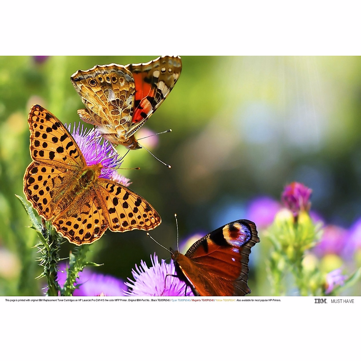 IBM Remanufactured Toner Cartridge - Alternative for HP 312A (CF381A)