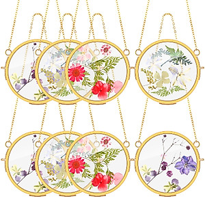 BBTO 8 Pack Round Hanging Glass Frame Small Brass Hanging Photo Frames Set Wall Mounted Gold Double Glass Display for Pressed Flowers Photos Dried Specimen DIY Artwork Display Decoration, 3.9 Inch