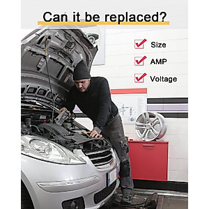 Riseuvo 20pcs 30A Standard Car Fuses - 30 AMP Automotive Fuses(ATO/APR/ATS), 32V (12/24V) Blade Fuse for RV/Truck/SUV