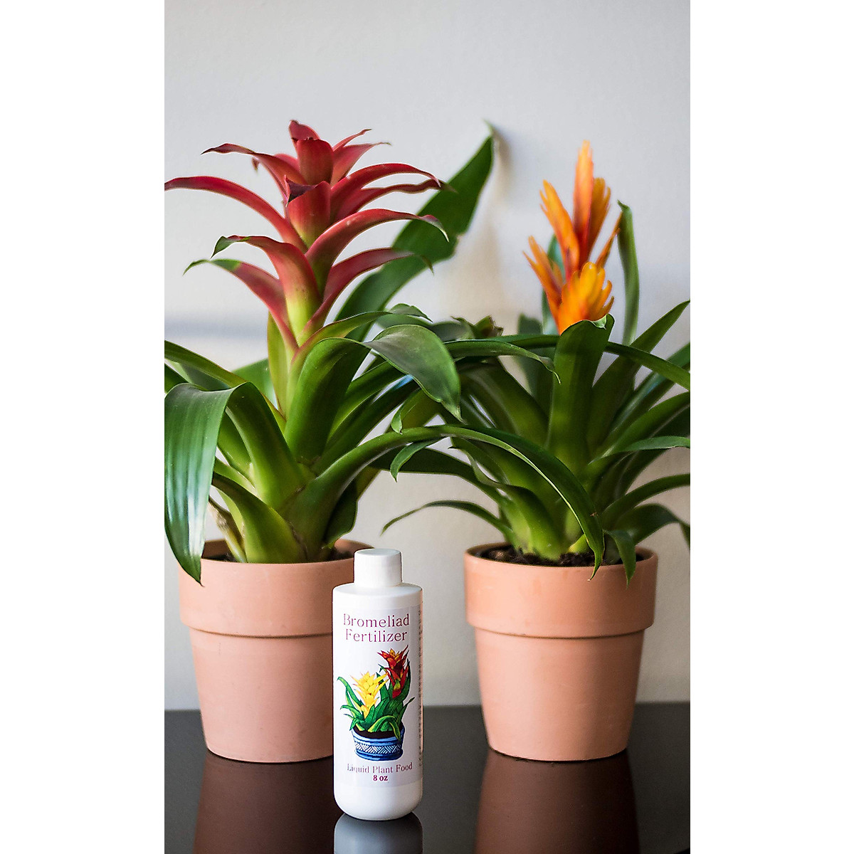 Bromeliad Fertilizer Liquid Plant Food for Bromeliads | Cryptanthus, Guzmania, Neoregelia Aechmea and Tillandsia Air, Aquatic Arts