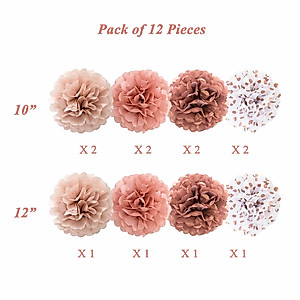 ANSOMO Rose Gold Tissue Paper Pom Poms Flowers Dusty Pink Coral Polka Dot Wall Hanging Wedding Birthday Bridal Baby Shower Party Decorations 12" 10" Pack of 12