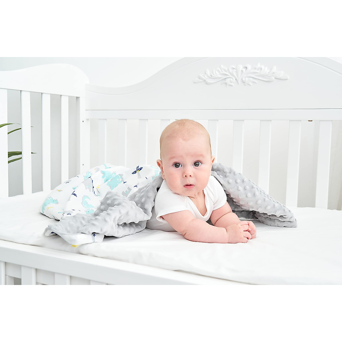 Baby Blanket for Boys Girls Soft Micro Fleece Kids Baby Blanket Throw Blanket with Dotted Backing Shower Gifts 40x30 Inches (Dinosaur)