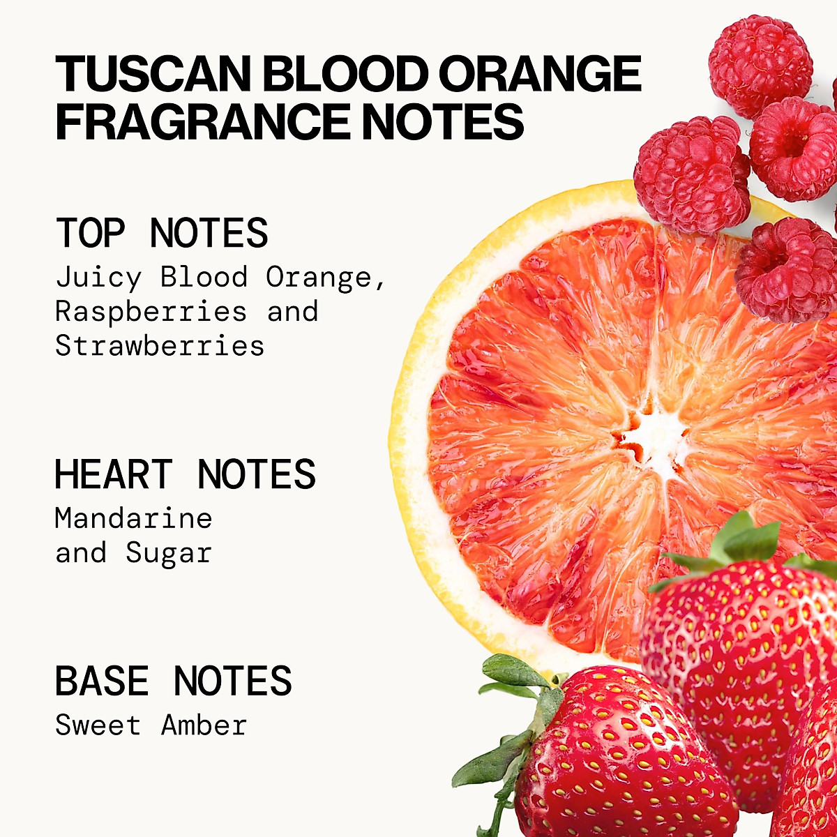 Pacifica Beauty, Wanderlust Spray Perfume Trial Set, Featuring Island Vanilla Mini, 5 Scents, Fragrance Sampler Gift Set, Natural + Essential Oils, Clean, Vegan + Cruelty Free