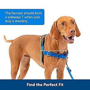 PetSafe Easy Walk No-Pull Dog Harness - The Ultimate Harness to Help Stop Pulling - Take Control & Teach Better Leash Manners - Helps Prevent Pets Pulling on Walks - Medium, Raspberry/Gray