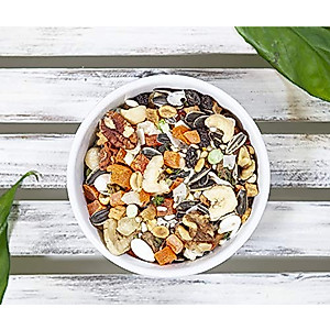 Dr. Harvey's Perfect Parrot Blend - Natural Food for Large Parrots (5 pounds)