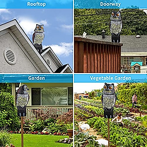 Owl Decoy to Scare Birds Squirrels,2023 Upgraded Plastic Owl Decoy to Scare Birds Away,Motion Activated Owl Decoy with 360 Rotating Head,Garden Owls to Frighten Birds for Outdoor Garden Yard