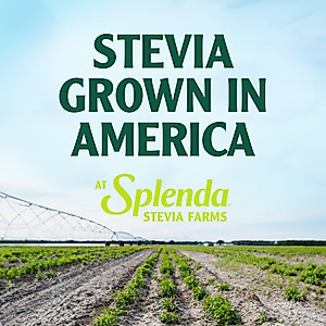 SPLENDA Stevia Zero Calorie Sweetener, Plant Based Sugar Substitute Granulated Powder, 19 oz Jar