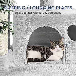 JOYO Cat Tree for Indoor Cats, 65.5 Inches Multi-Level Cat Tower Cat Tree with Hammock, Scratching Posts, Top Perch, Ladder, Cat Activity Tree Cat Condo with Toys, Cat Climbing Tower for Kitten Play