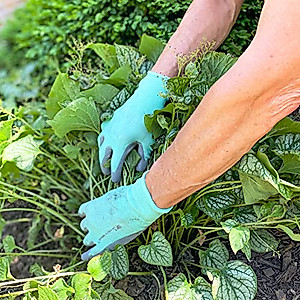 Wells Lamont 3 Pair Pack Women’s Gardening Gloves | PU Coated Grip Work Gloves| Each Pack Includes Pink, Green, Purple | Medium (413MF)