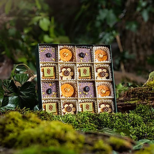 Laumière Gourmet Fruits - Superfood Parfait Collection - Square (16 Pcs) - Healthy Gift Basket - Dried Fruit Gift Basket - No Added Sugar - Gluten Free - Vegan Gift Basket - Dried Fruit and Nuts