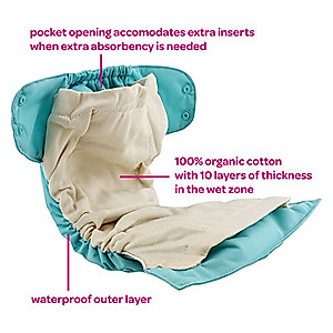 Blueberry One Size Simplex All in One Cloth Diapers, Made in USA (Picnic)