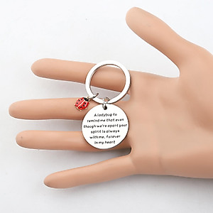 KUIYAI Ladybug Sympathy Gift Memorial Gift Condolences Gift Remembrance Gift Bereavement Gift Family Loss Gift For Grieving Friend (LadybugK)