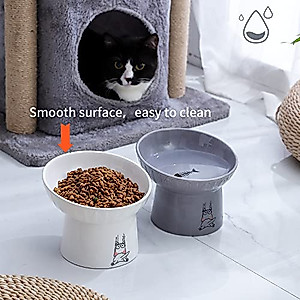 6.5 Inch Extra Wide Ceramic Raised Cat Bowl Set, Tilted Elevated Cat Bowls for Food and Water, Anti Whisker Fatigue, Stress Free, Anti Vomiting, Protect Spine, Lead & Cadmium Free, White & Grey