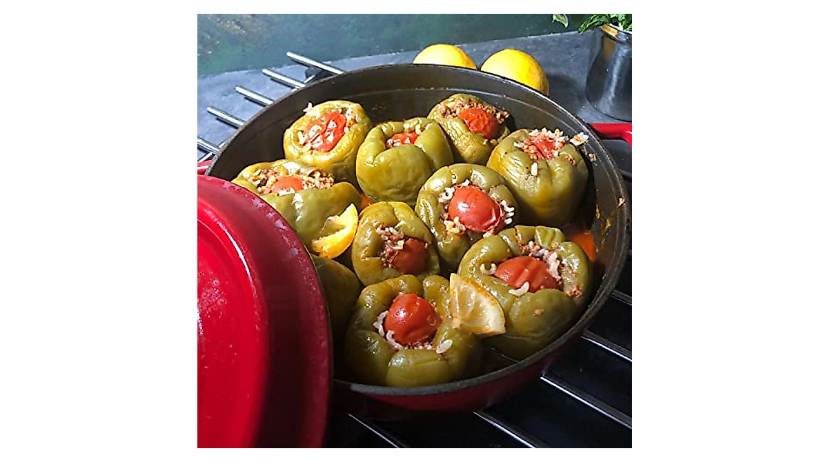 LAVA 3.7 Quart Enameled Cast Iron Braiser - Stylish Red Dutch Oven