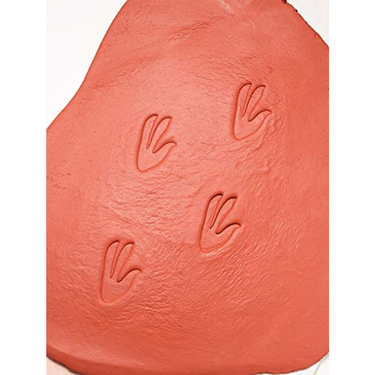 Yellow Door Let's Investigate Dinosaur Footprints