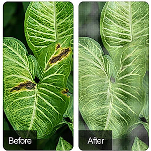 Alpurple 2PCS 4.6 x 3.9 ft Garden Plant Netting Mesh Barrier Bags-Fruit Tree Net with Drawstring-Tomato Plant Protective Netting Cover for Protect Plant Fruits Citrus Flower from Insect Bird Eating