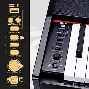 Lexington 88 Key Beginner Digital Piano Weighted for Adults Kids, Portable Wooden Electric Piano Keyboard Full Size with Graded Hammer Action, Sustain Pedal and Power Supply, Black