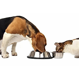 Dog Greens- Organic and Wild Harvested Vitamin and Mineral Supplement for Dogs - Add to Home Made Dog Food, RAW Food or Kibble - No Hassle-30 Day