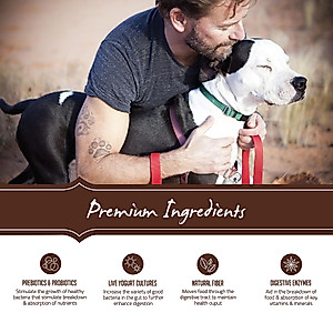 Holistic Select Natural Grain Free Dry Dog Food, Deboned Turkey & Lentils Recipe, 24-Pound Bag