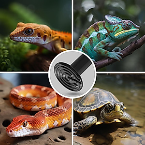 Ceramic Heat Emitter for Reptiles, 100W Heat Lamp Bulb, Ceramic Reptile Heat Bulb Black, No Light Emitting Heat Lamp for Amphibian Pet, Heat Bulb for Bearded Dragon Turtle Snake Lizard, 2 Pack