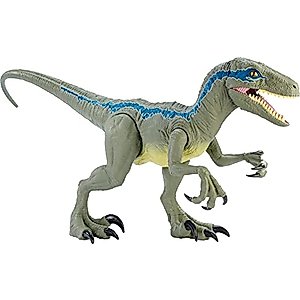 Mattel Jurassic World Super Colossal Velociraptor Blue Dinosaur Action Figure Toy, 3.5-ft Long with Eating Feature (Amazon Exclusive)