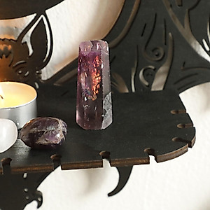 ANLV Halloween Decoration Bat Shelf Floating Black Wall Shelves for Bedroom-Halloween Wall Decor for Halloween Home Bedroom Living Room Decor A