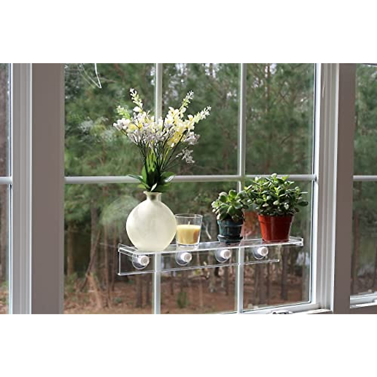 LaBrinx Designs Extra Large Suction Cup Shelf - Live Plants, Windows, and Bathrooms